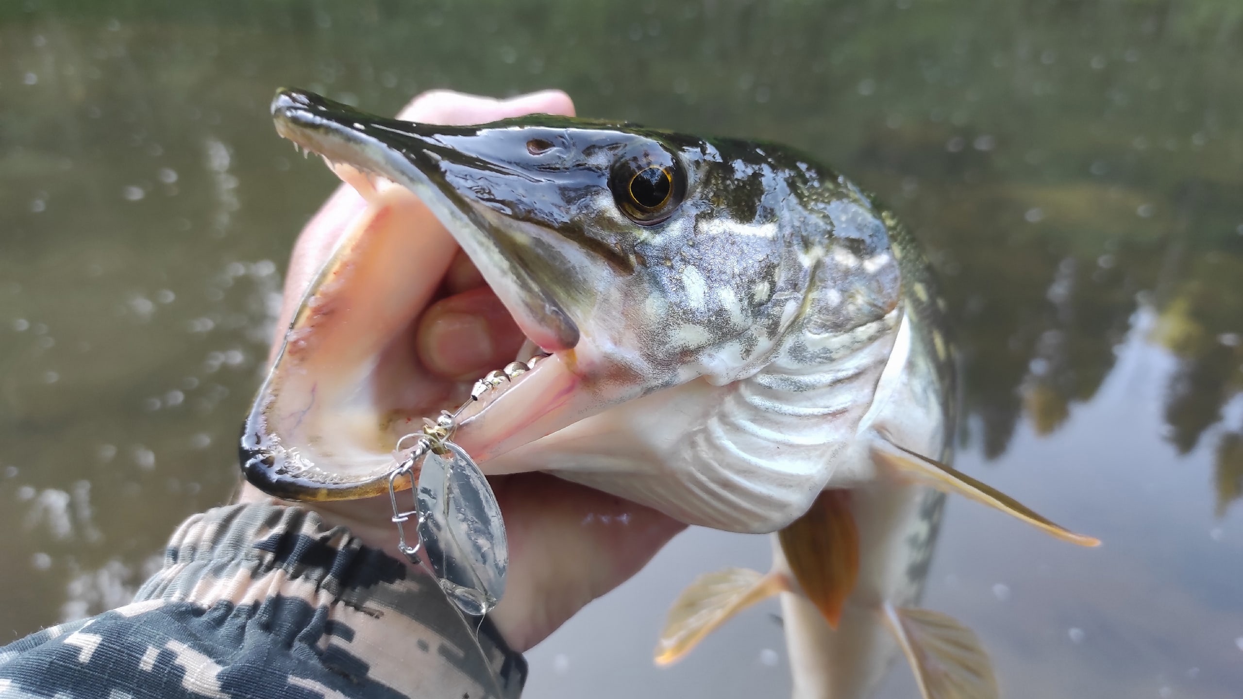 Новинка! Блесна Mottomo Breeze Blade